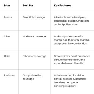 International Travel Insurance | Myers Capital Advisors